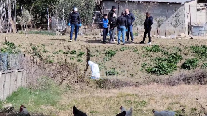 Vajza që vrau babanë në Shqipëri: Nuk jam pishman, na ka torturuarSinjali Vajza që vrau babanë në Shqipëri: Nuk jam pishman, na ka torturuarSinjali